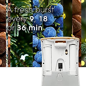 Glade Automatic Spray Refill, Air Freshener for Home and Bathroom, Pine Wonderland, 6.2 Oz, 3 Count