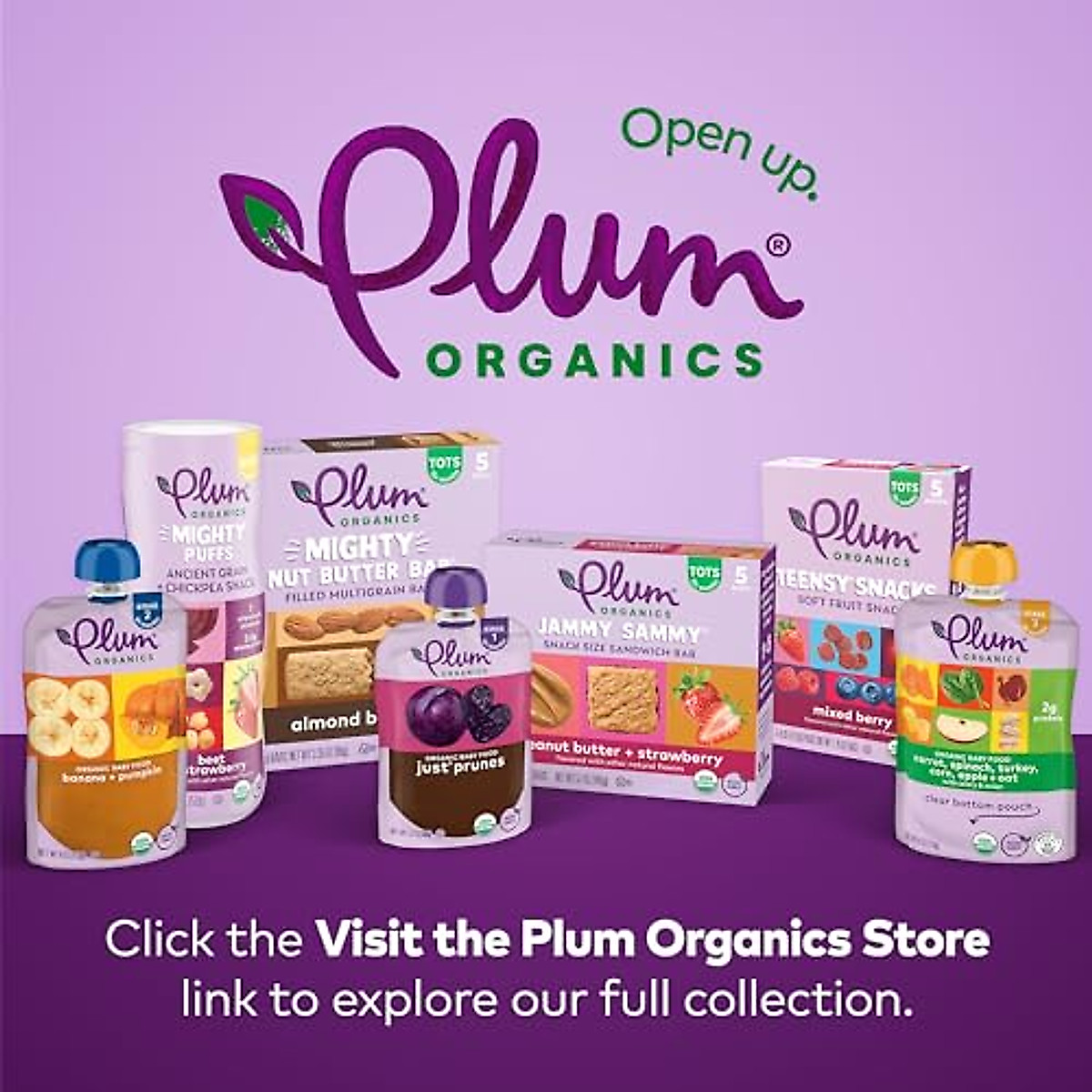 Plum Organics Mighty Morning Bars - Apple and Cinnamon - 0.67 oz Bars (Pack of 5) - Organic Toddler Food Multigrain Snack Bars