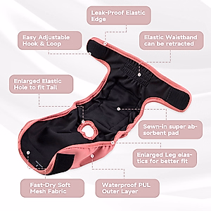 Paw Legend Washable Reusable Female Dog Period Diapers for Heat Doggie Puppy Diapers for Female Dogs (3 Pack,X-Large)