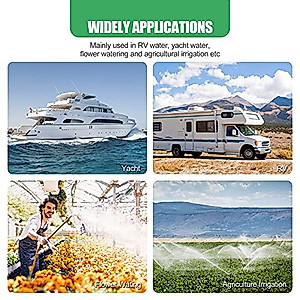 LONGRUN 12V Water Pump Diaphragm Sprayer Pumps with Adjustable Pressure Switch, 3L/Min 0.8GPM 65PSI Self Priming Fresh Water Pump for RV, Camper, Marine Boat, Lawn Watering