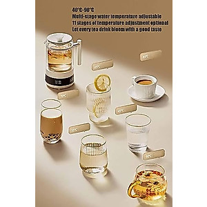 350Ml High Borosilicate Glass Health Pot Electric Kettle Flower Teapot Temperature Control ​Kettle Hot Tea Machines Appointment and Dry Boil Protection Household Multifunctional A,350Ml