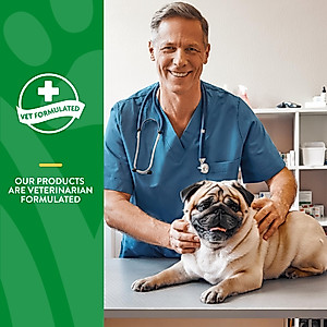 NaturVet - No Scoot for Dogs - Plus Pumpkin - Supports Healthy Anal Gland & Bowel Function - Enhanced with Beet Pulp & Psyllium Husk (5.4oz Powder)