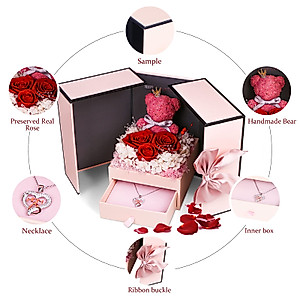 IDFALKFD Preserved Rose Gifts Set includes 925 Sterling Silver Necklace with Heart and Mom Jewelry Design, Mothers Day Birthday Christmas Valentines Gifts for Mom from Daughter and Son