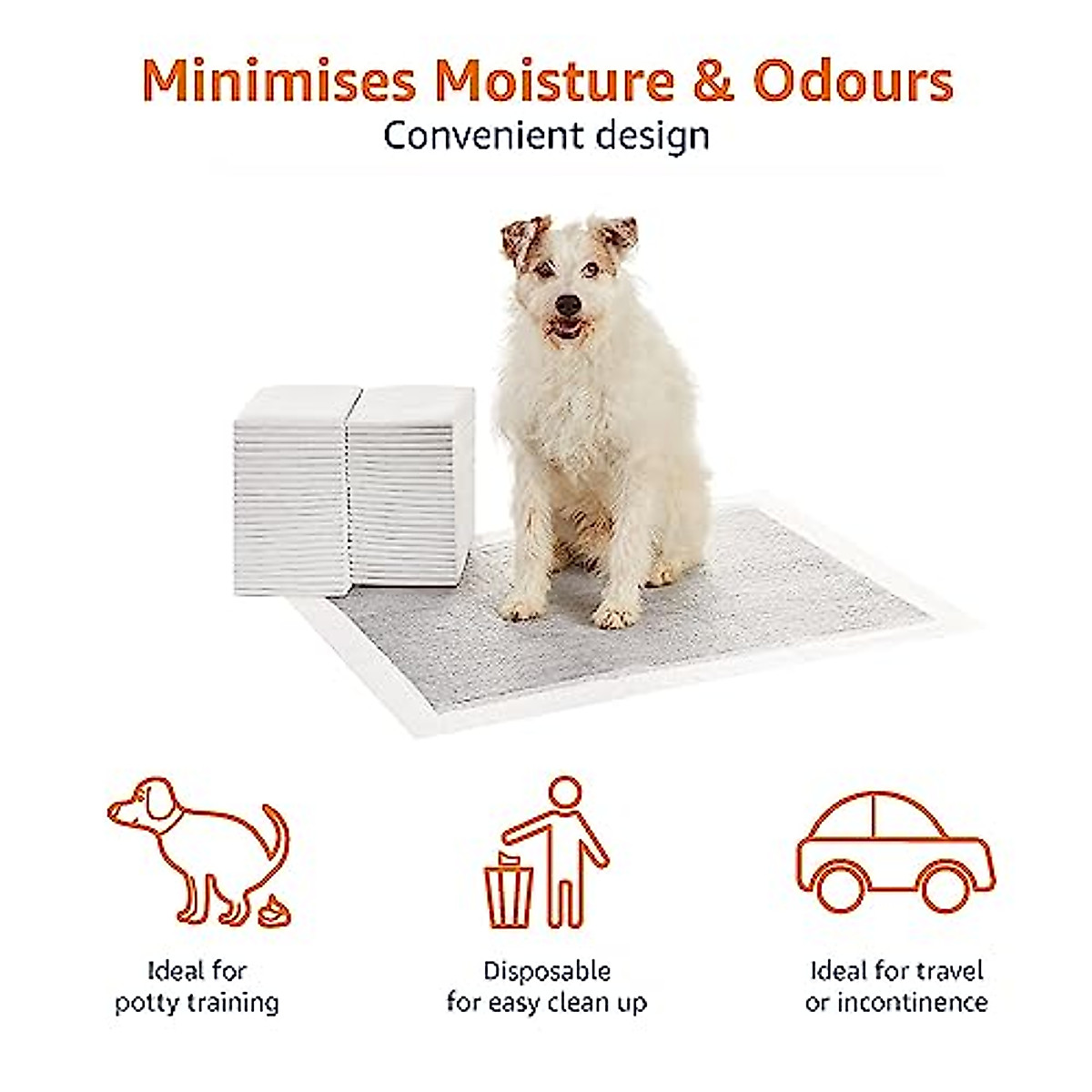 Amazon Basics Odor-Control Carbon Dog and Puppy Training Pads, Leakproof 5-Layer Pee Pads for Potty Training, XL, 28 x 34 Inches, Pack of 50, Gray