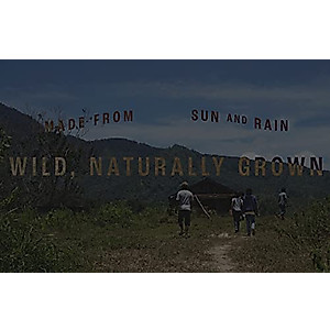 Toraja Mountain Coffee Utara, Indonesian Coffee, Low Acid, Limited Edition Dark Roast, Whole Bean Coffee, 12-ounce