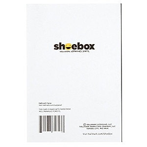 Hallmark Shoebox Funny Belated Birthday Card Assortment (5 Cards with Envelopes), Belated, 5 Cards (1399RZG1000)