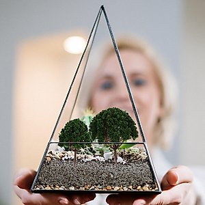 DOITOOL Model Trees Rainforest Diorama Supplies 20Pcs Scale Trees Miniature Craft Mini Trees for Crafts Miniature Tree Diorama Models Model Model Trees Model Train Scenery