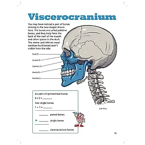 Know Yourself - 206 Bones of The Human Body Bonus Bundle, Interactive Activity Workbooks to Learn About The Human Body, Skeleton Coloring Kit, Crayons, Educational Playing Cards, for Ages 8-12