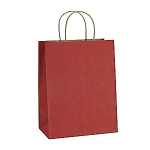 BagDream Gift Bags 8x4.25x10.5 Inches 25Pcs Paper Shopping Bags, Kraft Bags, Retail Bags, Red Stripes Paper Bags with Handles, Recycled Paper Gift Bags
