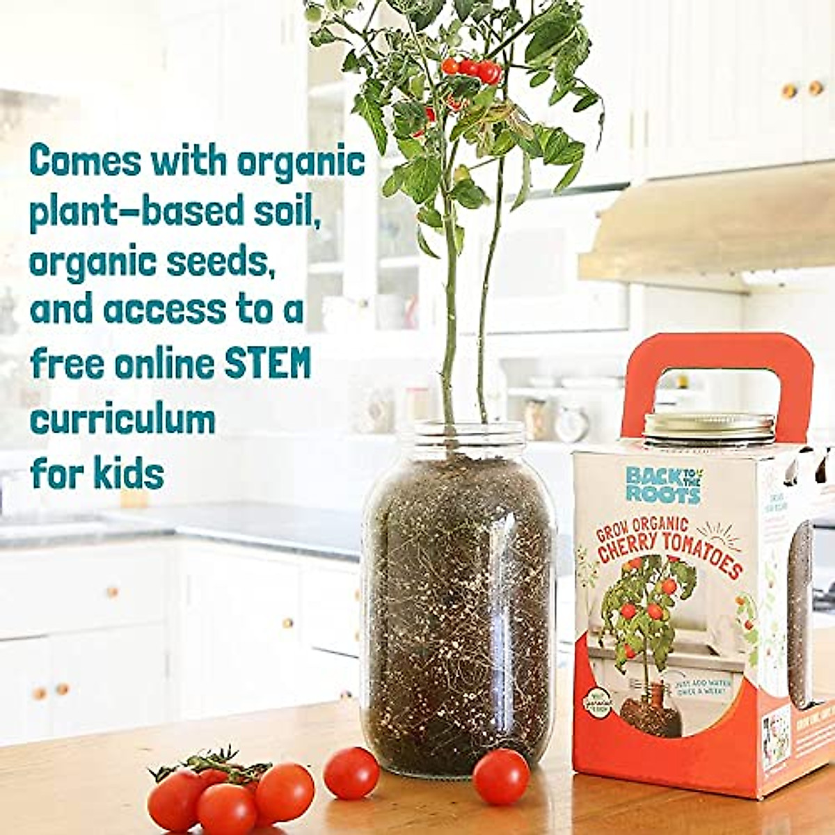 Back to the Roots Cherry Tomato Organic Windowsill Planter Kit - Grows Year Round, Includes Everything Needed For Planting