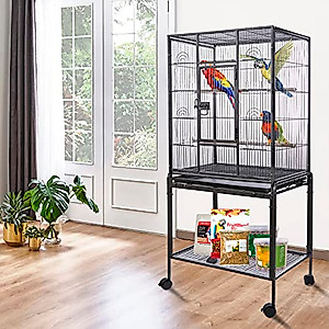 HSM 53 Inch Wrought Iron Large Bird Flight Cage with Rolling Stand for African Grey Parrot Cockatiel Sun Parakeet Conure Lovebird Canary