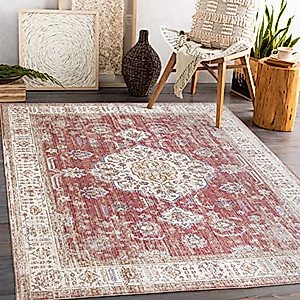 ReaLife Machine Washable Rug - Stain Resistant, Non-Shed - Eco-Friendly, Non-Slip, Family & Pet Friendly - Made from Premium Recycled Fibers - Persian Distressed - Clay, 2'6" x 8'
