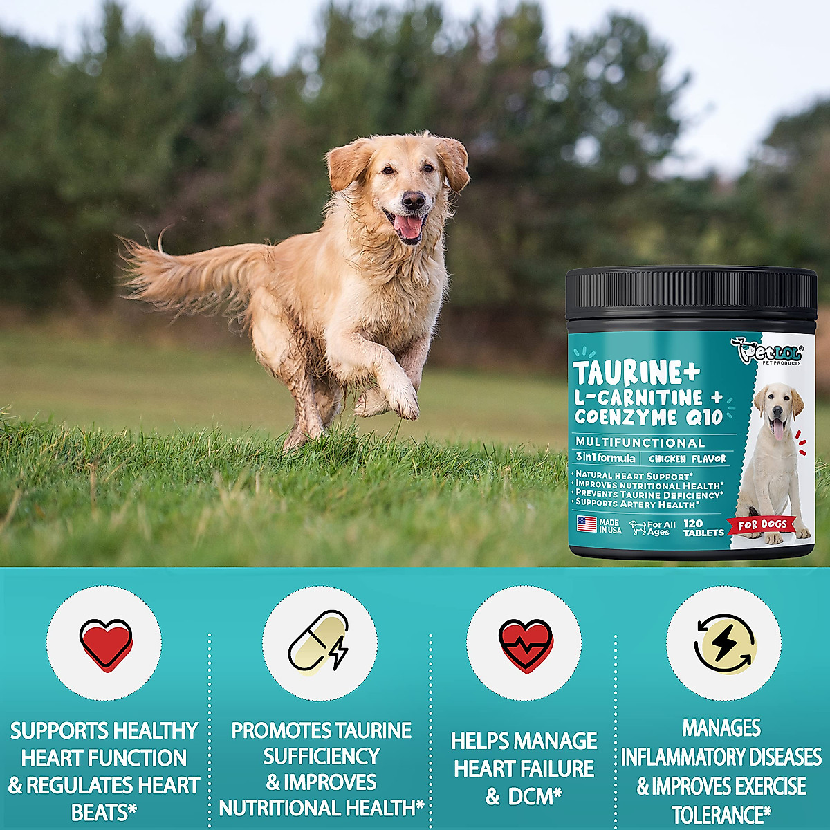 PET LOL Taurine Supplement for Dogs with L-Carnitine and Coenzyme Q10 (CoQ10): Vet Endorsed for Enlarged Heart (DCM), Congestive Heart Failure, Taurine Deficiency: 3-in-1 | Dog Supplements- 120ct