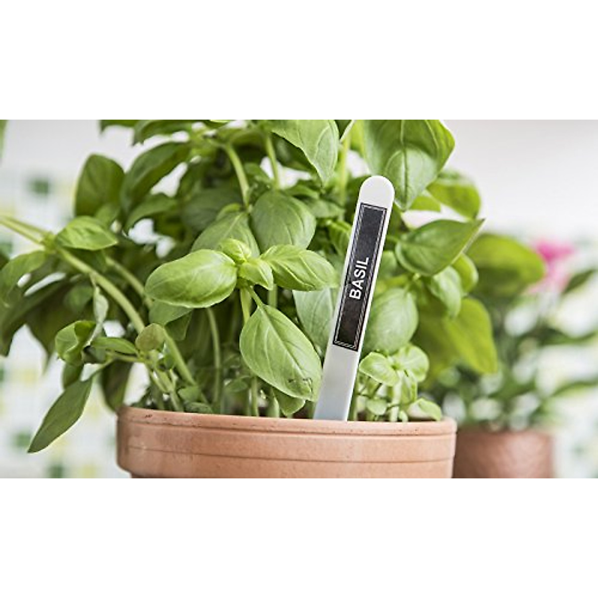Brother P-Touch Cube Smartphone Label Maker, Bluetooth Wireless Technology, Multiple Templates Available, Apple & Android Compatible - Blue