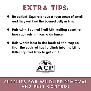 Squirrel Jelly Paste Bait 8 Ounce | Irresistible Sweet Scented & Highly Attractive Lure for Red & Grey Squirrels Chipmunks | Good All Season Long