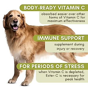 Wholistic Pet Organics Allergy Immune Boost: Vitamin C for Dogs Skin and Coat Supplement - 4 oz - Dog Allergy Relief Medication for Dogs - Dog Itch Relief - Ester C Dogs Supplement and Vitamin Powder