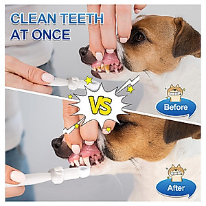 Ninibabie Dog Toothbrush,Plaque and Tartar Remover,Dog Tooth Brushing Kit,Just with Water No Toothpaste Required, Puppy Toothbrush,Cat Toothbrush for Oral Care(12pcs)