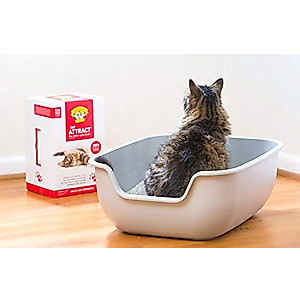 Precious Cat Cat Attract Problem Cat Training Litter, 20 pound box