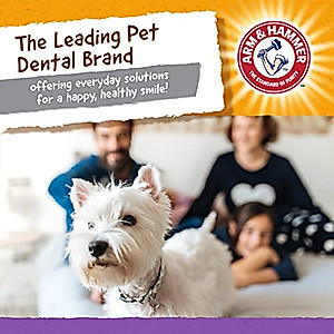 Arm & Hammer for Pets Nubbies Orion Dog Dental Toy| Best Dog Chew Toy for Moderate Chewers | Dog Dental Toy Helps Reduce Plaque & Tartar Without Brushing (Pack of 1)