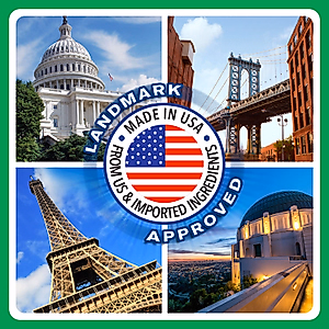 Smart Strip Advanced Paint Remover- Strips 15+ Layers of Paint, Environmentally Friendly, Non-Toxic, Safe, No Hazardous Fumes, No Foul Smells (1 Gallon)