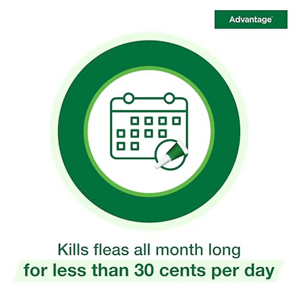 Advantage Topical Cat Flea Treatment and Prevention for Large Cats Over 9 lbs. | Apply Flea Drops Monthly | 2 Treatments