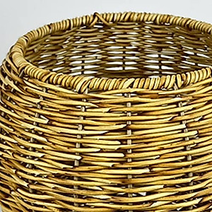 Colcolo Retro Style Rattan Round Serving Basket with Lid Handmade Woven Art Decor Storage Tray Bouquets for Organizing Home Decorative Tabletop, Imitation Rattan