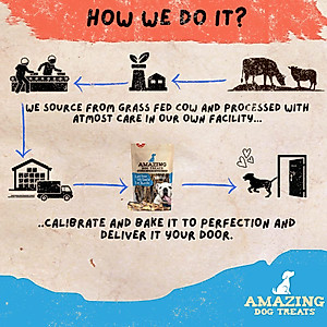 Amazing Dog Treats - 6 Inch Mega Thick Beef Lung Jerky Reward for Dogs | (10 Pc/Pk) | 100% Natural Beef Lung Snacks for Dogs | Single Ingredient High-Protein Low-Fat Grain-Free Beef Lung Dog Treats