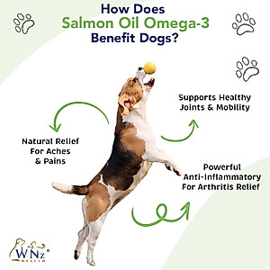 Hemp & Turmeric Hip and Joint Chews for Dogs - Dog Hemp Chews for Pain Relief & Arthritis - Anti-inflammatory Hemp Dog Treats w/MSM, Hemp Oil, Glucosamine and Chondroitin for Dogs 60 Chews, 8 Oz