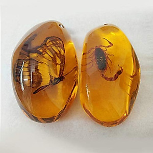 VORCOOL 5pcs Amber Fossil with Insects Samples Stones Crystal Specimens Home Decorations Collection Oval Pendant (Random Pattern)
