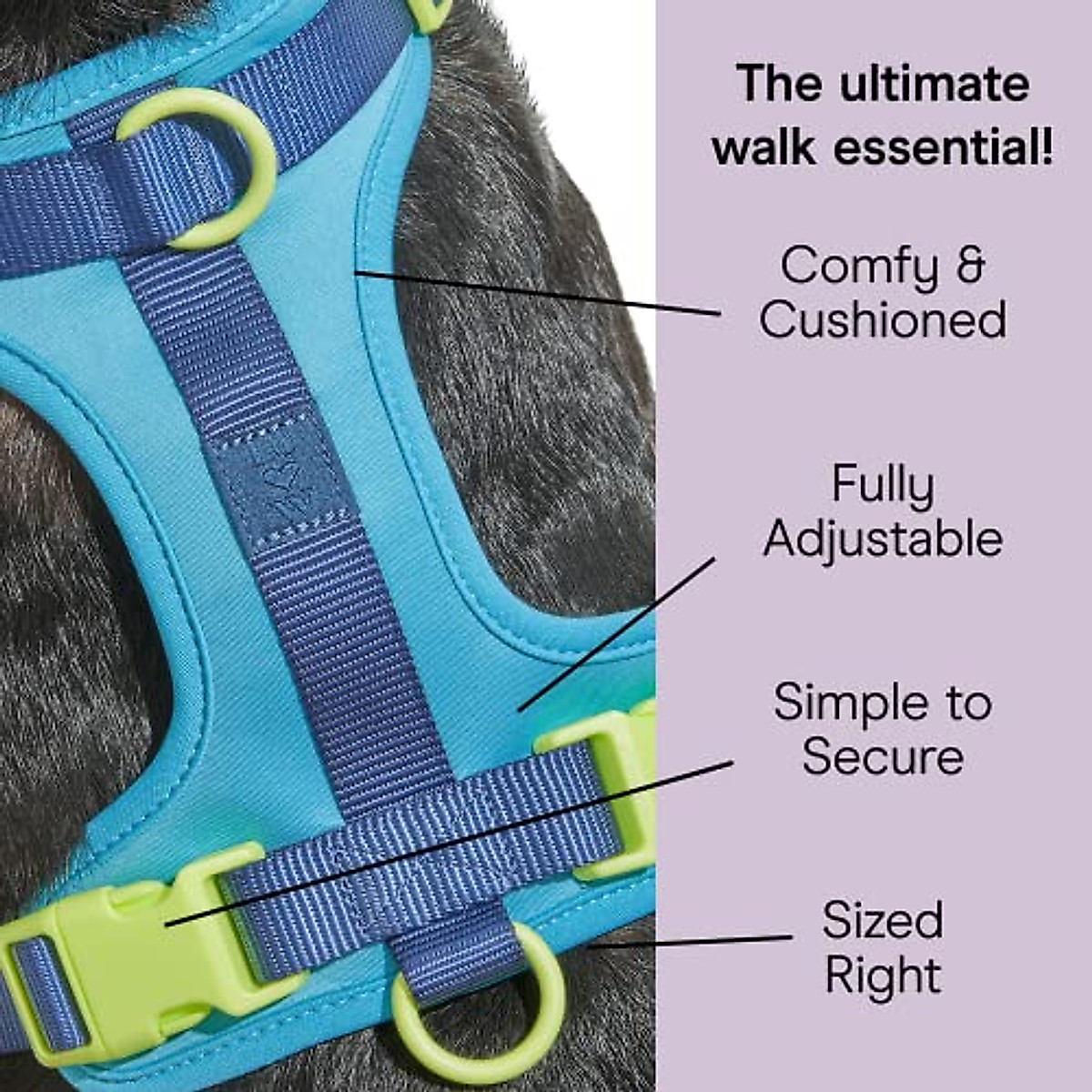 Wild One, Limited Edition, Designer Collection, Dog Harness, No-Pull Pet Harness with 3 Leash Clips, Adjustable Soft Padded Dog Vest, Comfortable, Stretchy, Medium, Blue