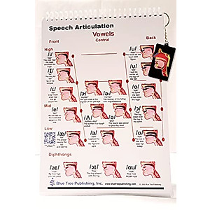 Speech Language Pathology SLP Charts Complete Series with QR Codes for Animation with Mini Head Model, Swallowing, Brain, Larynx, Lungs, Speech Articulation, Voice and More