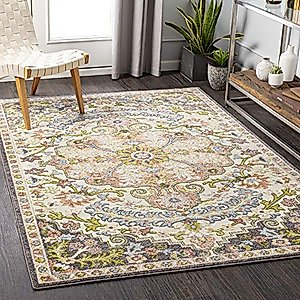 Artistic Weavers Donte Floral Medallion Area Rug, 6'7" x 9', Terracotta