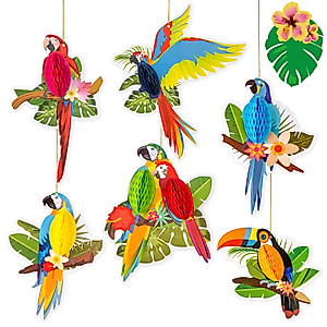 6 Pieces Hawaiian Tropical Parrot Honeycomb Decorations, Luau Party Decorations Paper Hanging Decorative Birds for Summer Rainforest Tiki Bar Beach Party Decoration Supplies Indoor Outdoor Decor