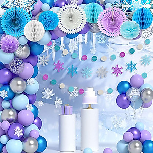 Winter Snowflake Decorations, Frozen Birthday Party Decorations Includes Snowflake Banner Paper Lanterns,Tissue Pom Poms Fan,Winter Wonderland Baby Shower Winter Birthday Party Decorations