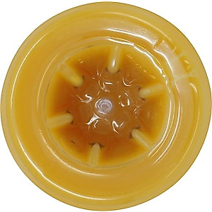 Tropicana 100% Orange Juice, 15.2 fl oz (Pack of 12) - Real Fruit Juices, Vitamin C Rich, No Added Sugars, No Artificial Flavors