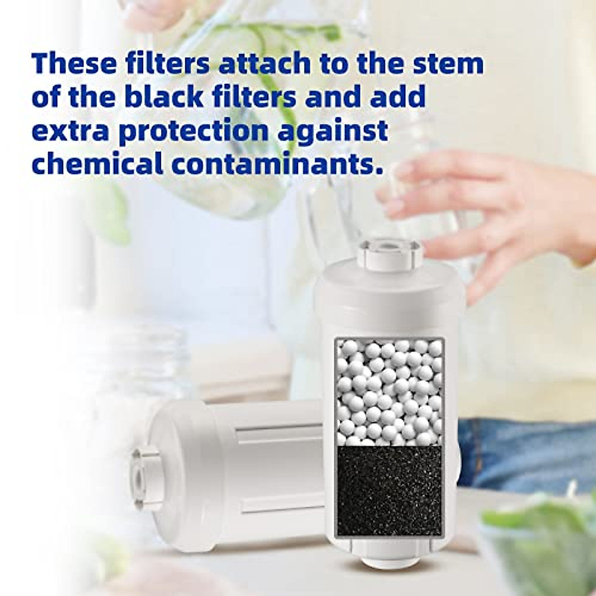 Water Filter Replacement Water Filtration System, Fluoride Filters 2 Pack and Black Filters 2 Pack