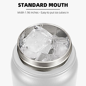 Fanhaw 20 Oz Insulated Stainless Steel Water Bottle with Straw Lid - Leak & Sweat Proof with Anti-Dust Lid (Black)