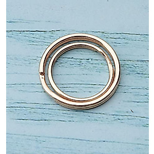 Ruwado 5 Pcs Dog Tag Clips with 5 Pcs 3/4 Inch Keychain 5 Pcs 1 Inch Keychain Gold Metal Dog Tag Rings for Pet Kitten Cat Collars ID Holder Harnesses