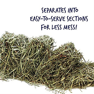 Vitakraft Small Animal Timothy Hay for Guinea Pigs, Rabbits, and Chinchillas - 3.5 lbs