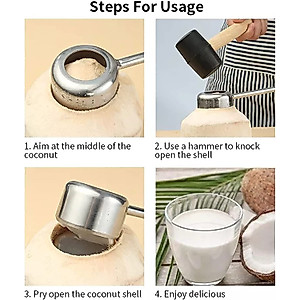 UnisonPet Coconut Opener Tool Set, Stainless Steel Coconut Opener Kit with Rubber Mallet Meat Removal Scraper, Coconut Drill Young & Mature Coconut Opening Tool