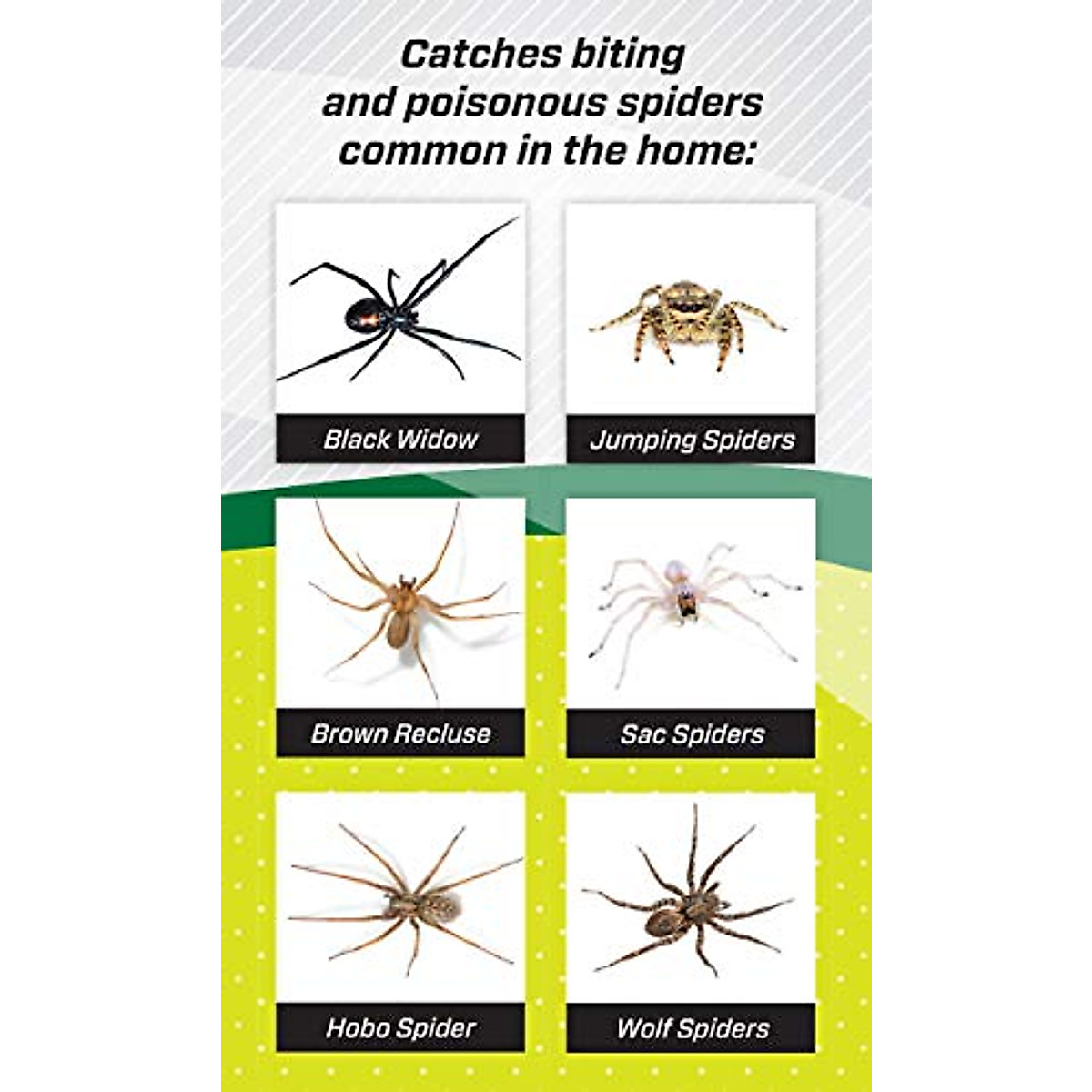 RESCUE! Spider Traps – Catches Brown Recluse, Hobo Spiders, Black Widows & Wolf Spiders - 3 Pack (9 Traps)