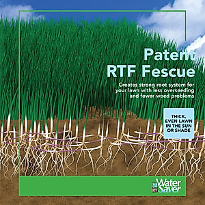 WaterSaver Grass Mixture with Turf-Type Tall Fescue Used to Seed New Lawn and Patch Up Jobs-Grows in Sun or Shade, 10 lbs-Covers 1/20 Acre