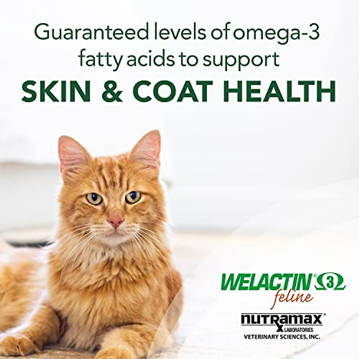 Nutramax Welactin Omega-3 Fish Oil Skin and Coat Health Supplement Liquid for Cats - 4 Ounce