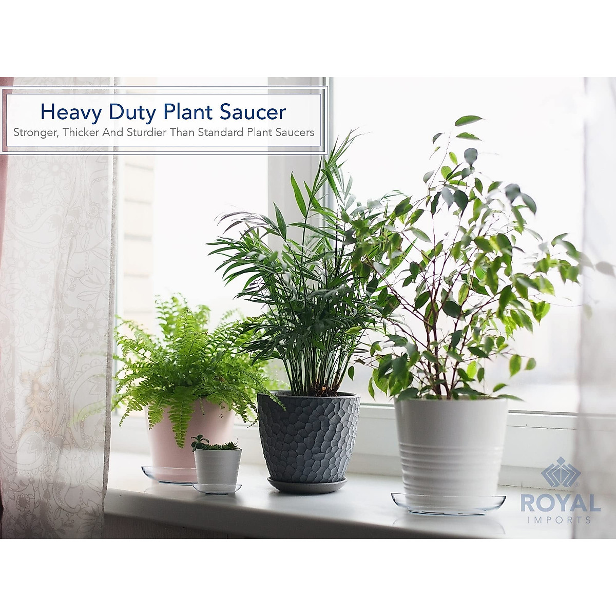 Royal Imports 6" Clear Plastic Saucer Plant Drip Tray, Low Pie Plate, Floral Flower Dish, Wedding, Party, Home and Holiday Decor, 24 Pack