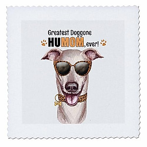 3dRose Cheetah Print Collar and Glasses on a Greyhound Dog for... - Quilt Squares (qs-379221-5)