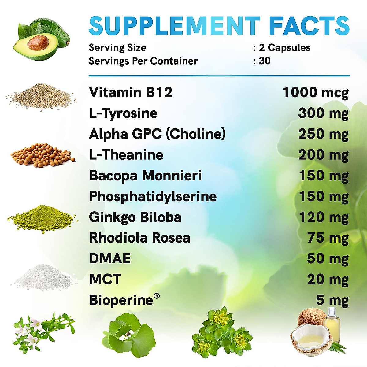 12-in-1 Nootropic Brain Supplement Anhydrous: Ginkgo Biloba for Brain Support, Memory and Focus - B12, Alpha GPC, L Theanine and Choline Supplements with Bioperine non Caffeinated 1321mg (120ct)