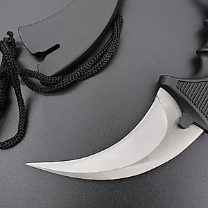 WeTop Karambit Knife, CS-GO for Hunting Camping Fishing and Field Survival, Stainless Steel Fixed Blade Tactical Knife with Sheath and Cord (Silver).