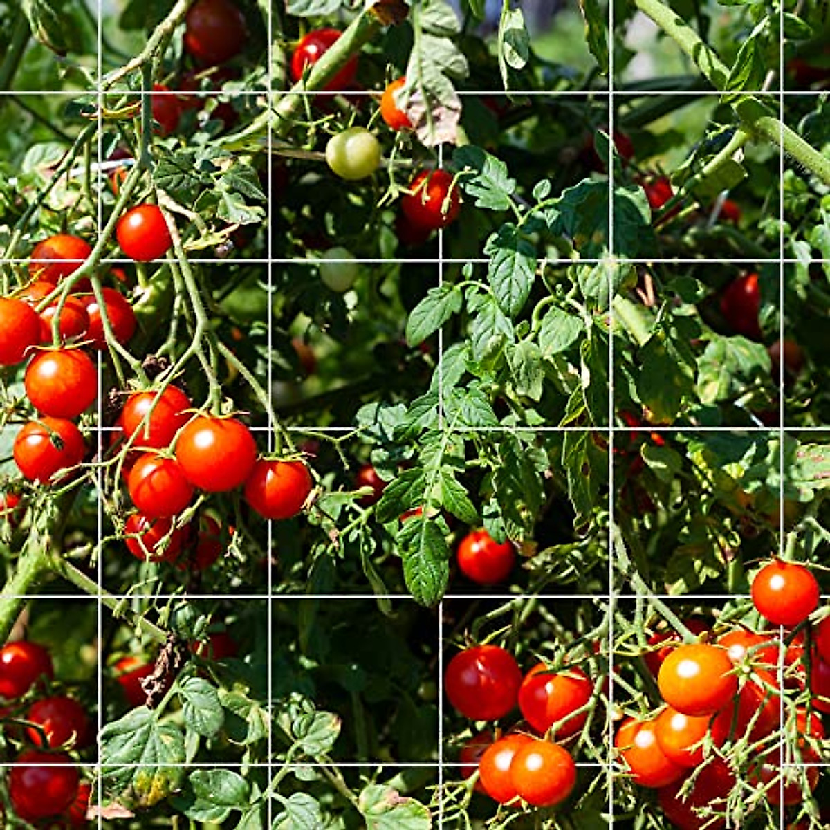 Seedfactor 5 x 15 ft. Plant Trellis Netting, Heavy-Duty Polyester Grow Net, Garden Trellis Netting with Square Mesh for Climbing Plants, Vegetables, Fruits, and Flowers, 1-Pack