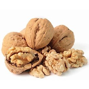 In Shell Jumbo Walnuts - 20 lb.
