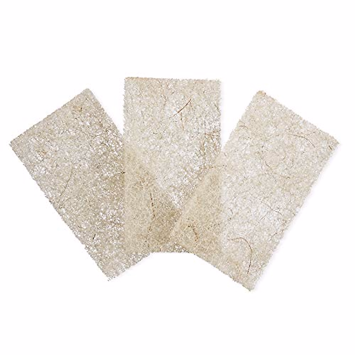 FULL CIRCLE CLEANING PRODUCTS Beachy Clean Heavy Duty Coconut Scour Pads 3pk, 3 CT